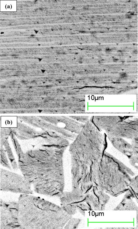 Scanning Electron Micrographs Bse Mode Showing Microstructure And