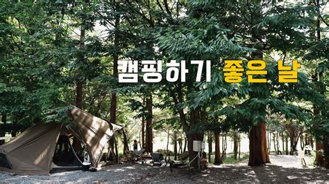 하둥지둥 불멍하기 딱 좋은 계절 제인아츠 로로 보보스캇 가족캠핑 Youtube