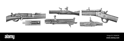 Antique 19th Century Illustration Of Rifles From Xix Century