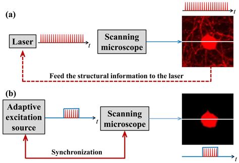 Reduction Of The Illumination Power For High Speed Multiphoton