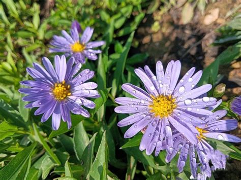 Sophia Zhang On Linkedin Dewateringmeshsieve Stacksizerscreenmesh Polywebscreen Vibrating…