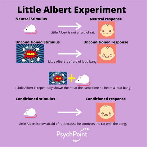 Little Albert Experiment Psychology Experiments Mental Health
