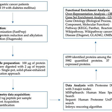 Schematic Representation Of The Proteomics Workflow For The Analysis Of