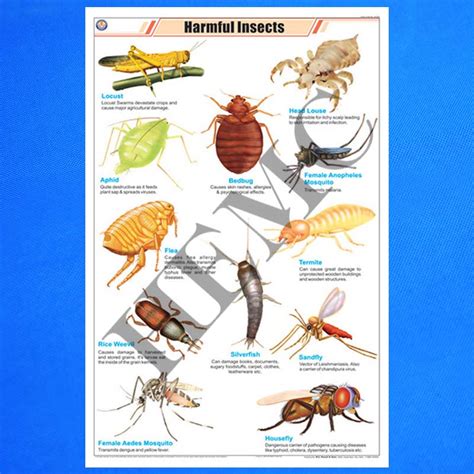 Harmful Insects Laboratory Products