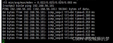 Virtualbox配置双网卡实现宿主机和虚拟机相互访问以及虚拟机外网访问virtualbox 主机访问虚拟机 Csdn博客