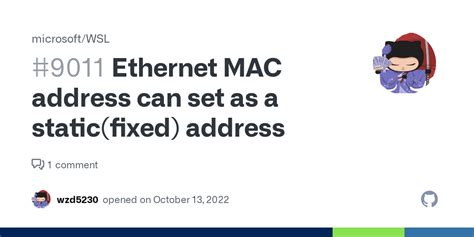 Ethernet Mac Address Can Set As A Static Fixed Address Issue