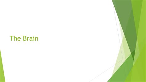 3 Cognitive Neuroscience 20022023 022932pm Pptx