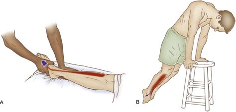 Seated Tibialis Anterior Stretch