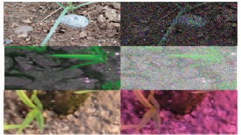 Figure 6 From Weed Detection Method Based On Improved Yolov8 With Neck Slim Semantic Scholar