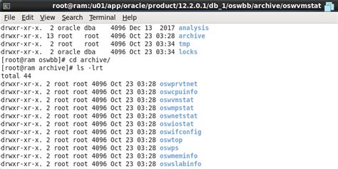 Analyze Oracle Server Diagnostic Information Using Oswatcher Tool Oracledbwr
