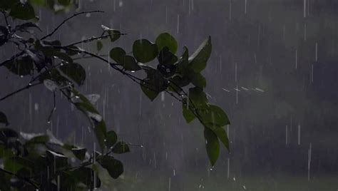 344 Rain S  Abyss