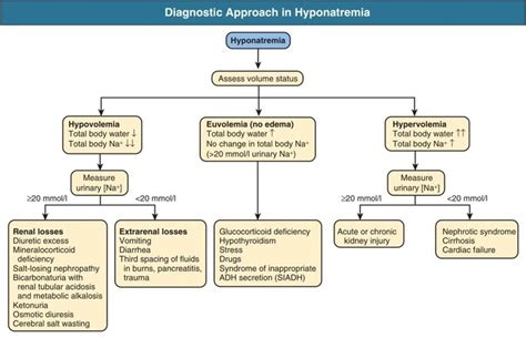 Hyponatraemia Causes And Treatment Approach