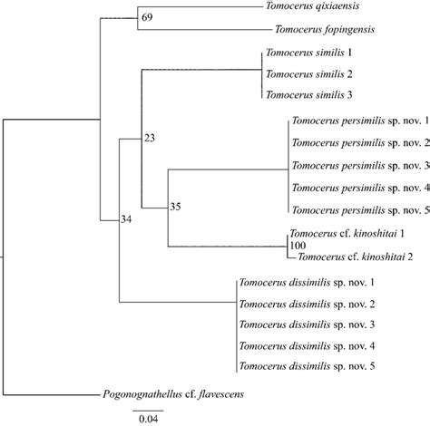 Maximum Likelihood Tree Using GtriГ Model And 1000 Bootstrap