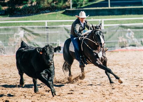 Karman Ash Stud Karman Ash Stud Added A New Photo