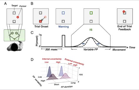 Figure 1 From University Of Birmingham The Role Of Dopamine In Temporal
