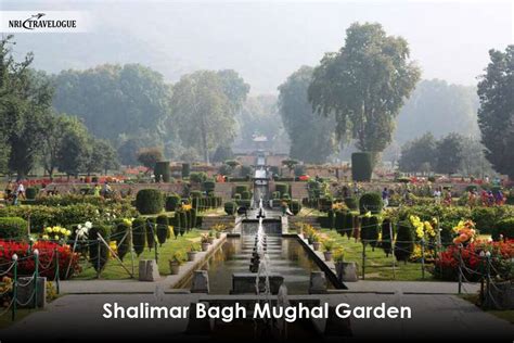 Top 10 Must Visit Places In Srinagar For 2025