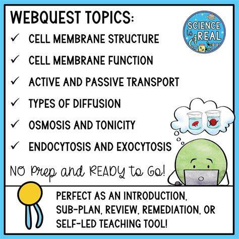 Cell Membrane And Cell Transport Webquest Science Is Real Education
