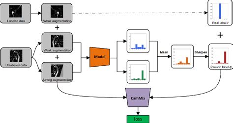 Figure 3 From Semi Supervised Medical Image Classification Based On Cammix Semantic Scholar