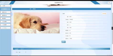 ssm流浪猫救助平台 程序 开题 csdn博客