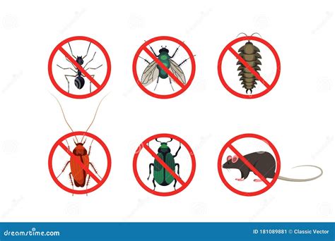 Stop Insects And Pests Signs Cartoon Vector Set Stock Vector Illustration Of Protection Green