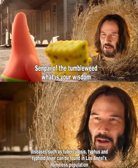 Keanu Reeves Memes From The New Spongebob Movie Have Taken Over 21