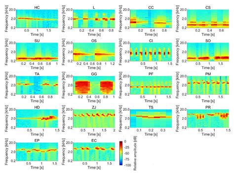 Temporal Waveforms Of The 18 Birdsong Stimuli Used Download