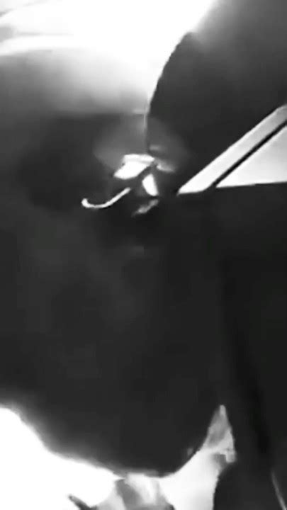 David Schepis Posted On Linkedin