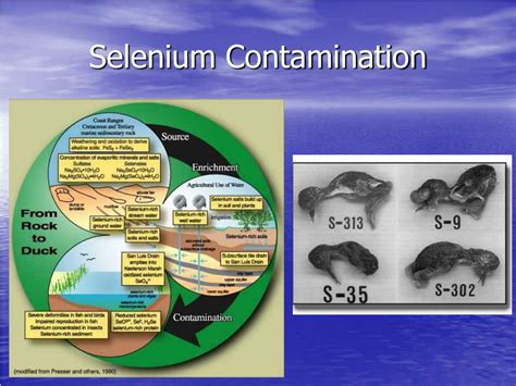Ppt Review Of The Trinity River Basin Plan Water Management