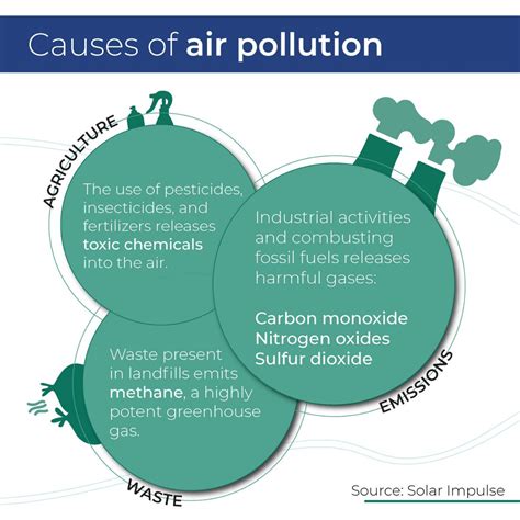 Pollution Causes And Effects