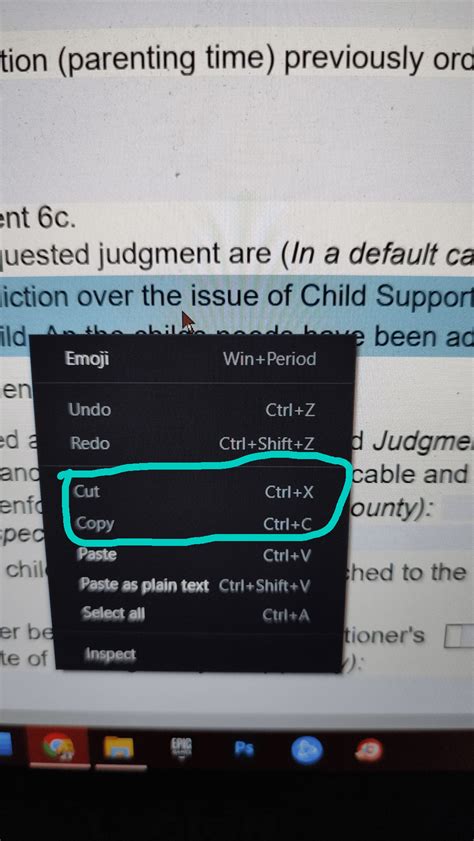 can t use ctrl c and ctrl x function in most fillable pdf forms