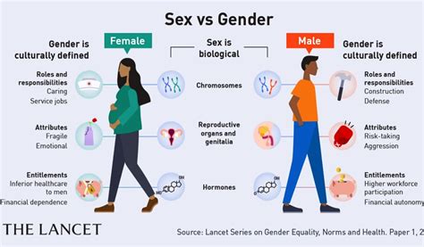 The Female Organism Explained Everything You Need To Know