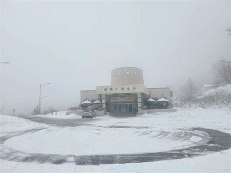 어느 덧 입사 후 줄곧 타계하기 전까지 약 4년 남짓 같이 일하며 동고동락하던 동료의 1주기가 되었습니다 그간 잊고