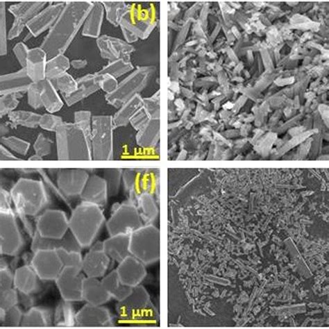 Representative SEM images of MoO3 and Zr doped MoO3 nanoparticles M ...