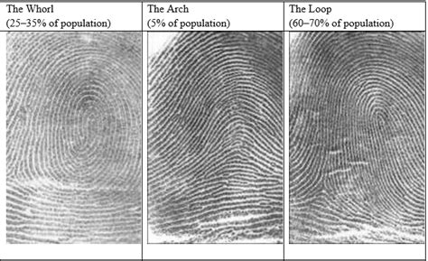 Fingerprint Spoofing Exploring Cybersecurity With Limited Technology