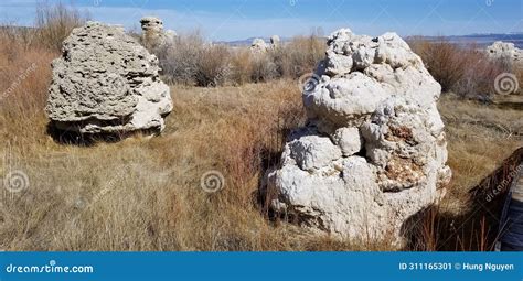 Tufa Rocks At Mono Lake Stock Image Image Of Naturalwonder 311165301