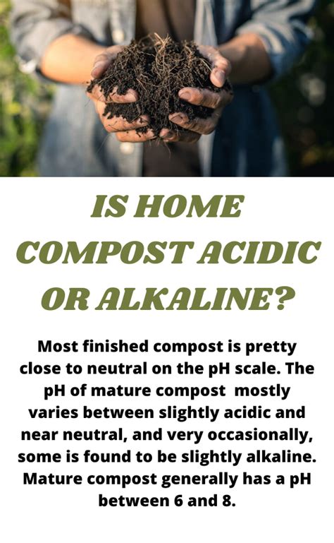 What Makes Compost Acidic At Fawn Adams Blog