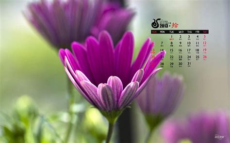 高清精美壁纸:2013年10月桌面日历壁纸免费下载 梦想天空(山边小溪) 博客园 高清精美壁纸:2013年10月桌面日历壁纸免费下载 梦想天空(山边小溪) 博客园