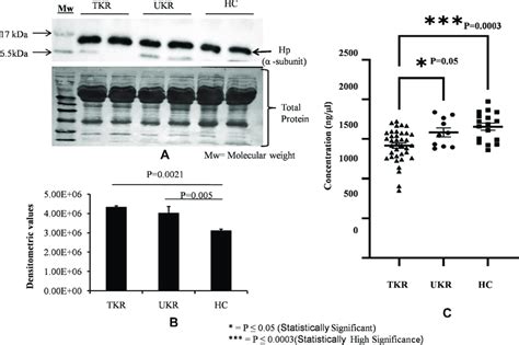 Validation Of Haptoglobin Hp Expression In Plasma A Representative