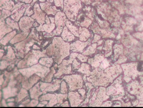 Solved Calculate The Average Grain Size Using Intercept