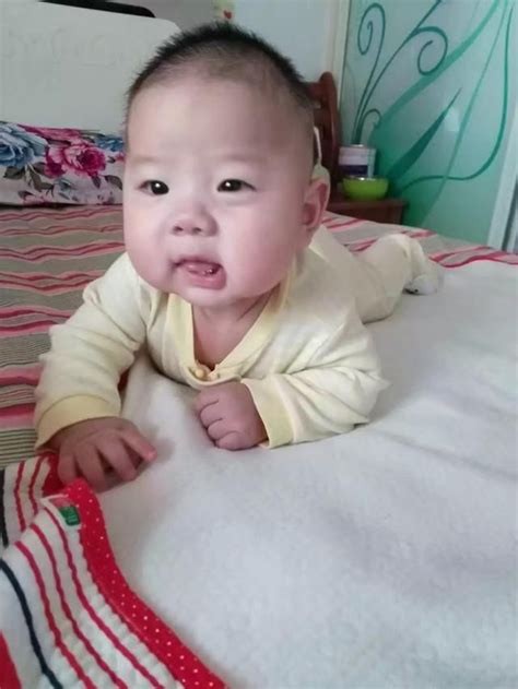 八个月宝宝怎么教爬六个月宝宝坐姿势图解 随意云 八个月宝宝怎么教爬六个月宝宝坐姿势图解 随意云