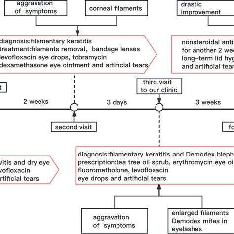 Timeline Of The Patients Disease Progression And The Corresponding Download Scientific Diagram