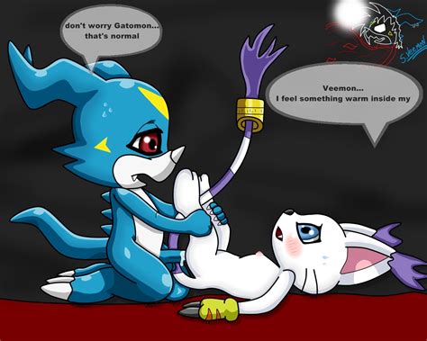 Digimon Gatomon Sex Cumception