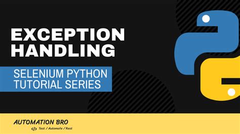 Selenium Python Exception Handling Sdet Unicorns