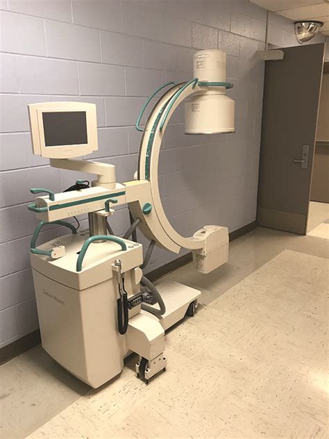 Fluoroscopy Dont Miss The Show Todays Veterinary Nurse