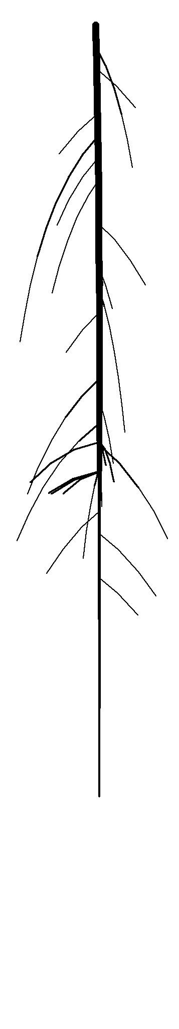 Python Trim The Whitespace Of The Grayscale Image Stack Overflow