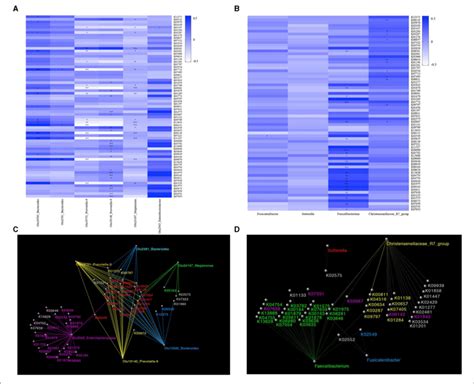 Functional Prediction Results Of Gut Microbial Functional Pathway