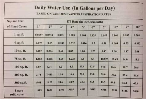 Save Water Time And Money Using Drip Irrigation