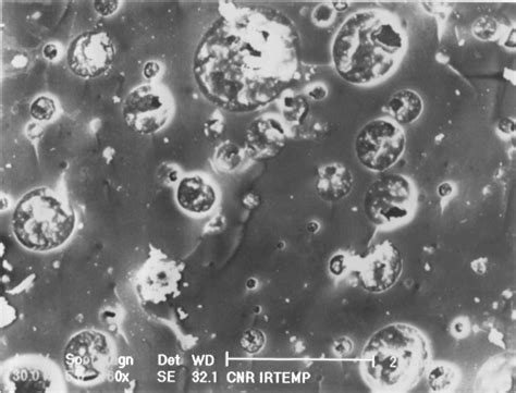 Scanning Electron Micrographs Of The Fracture Surfaces Of Ternary