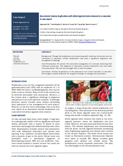Pdf Ileo Colonic Tubular Duplication With Distal Sigmoid Colon Stenosis In A Neonate A Case