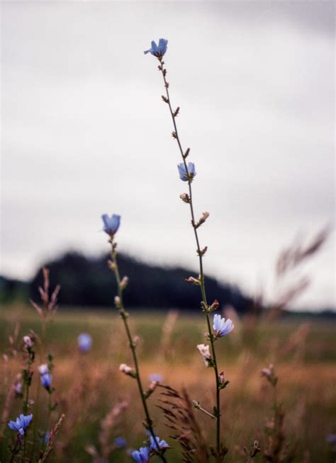 For The Time Being By Photographer Jonathan Schechner